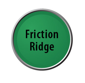 Friction Ridge lollipop
