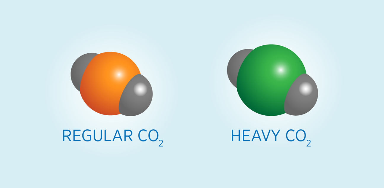 Measuring Fossil Fuel Emissions