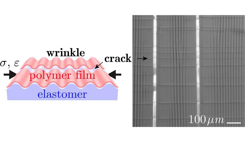 CW of a polymer film