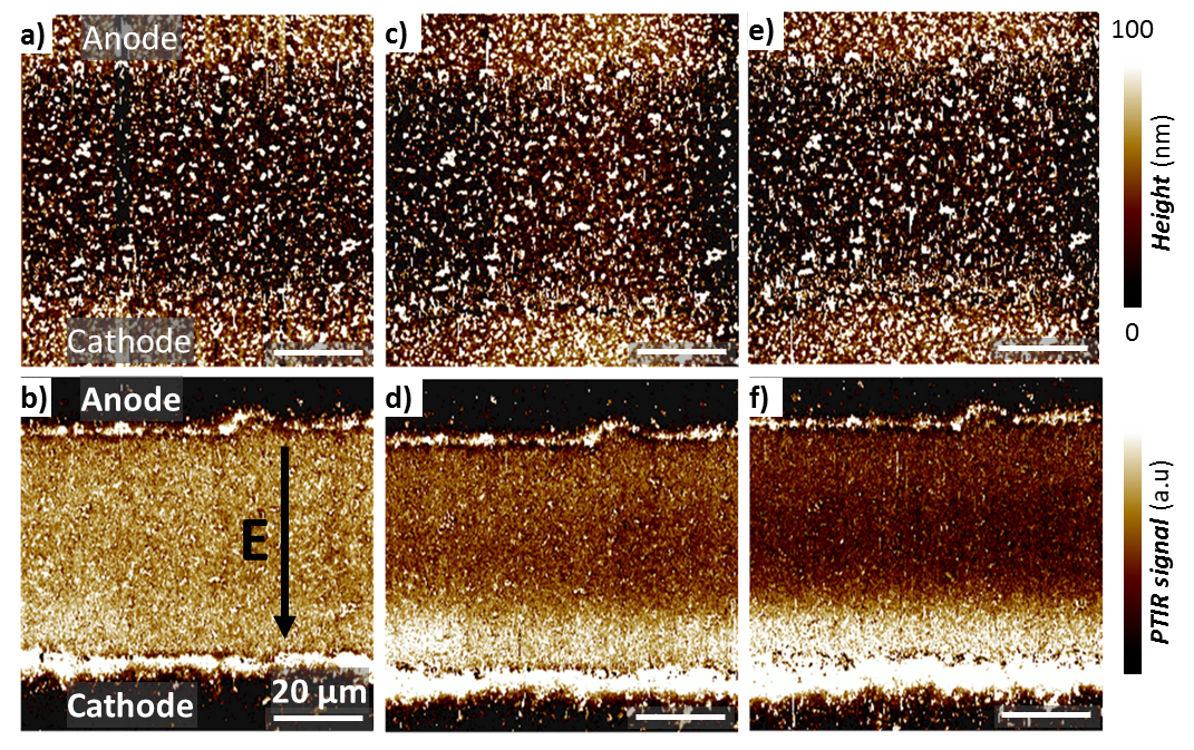 Direct observation of ion (CH3+) electron migration in organic ...