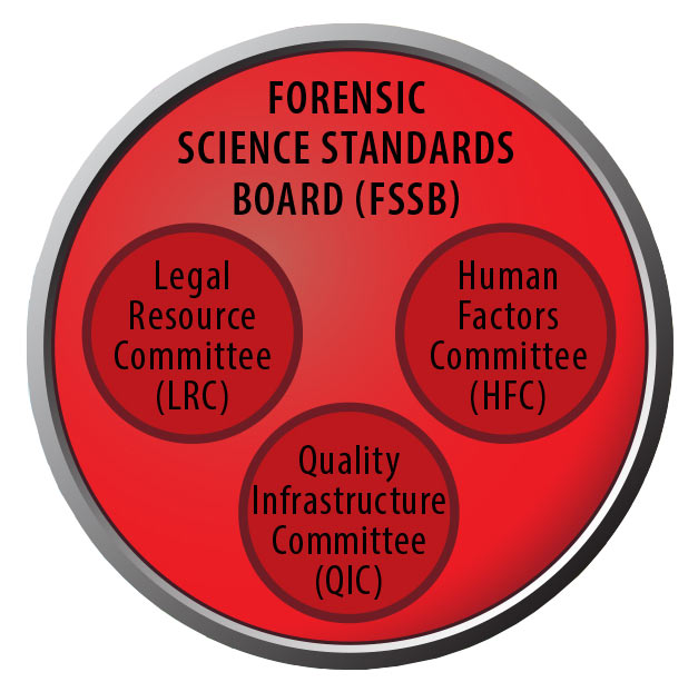 Forensic Science Standards Board Committees