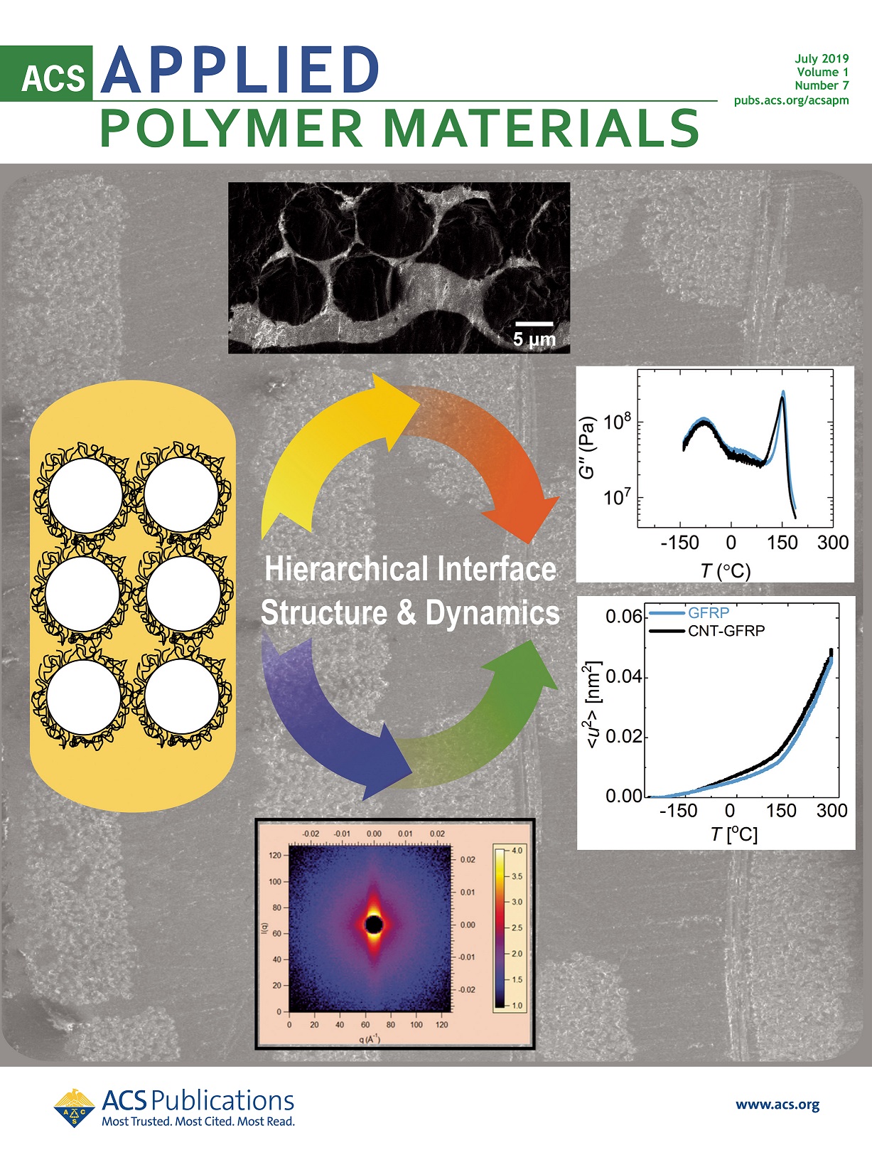 Multiscale Polymer Dynamics in Hierarchical Carbon Nanotube Grafted ...