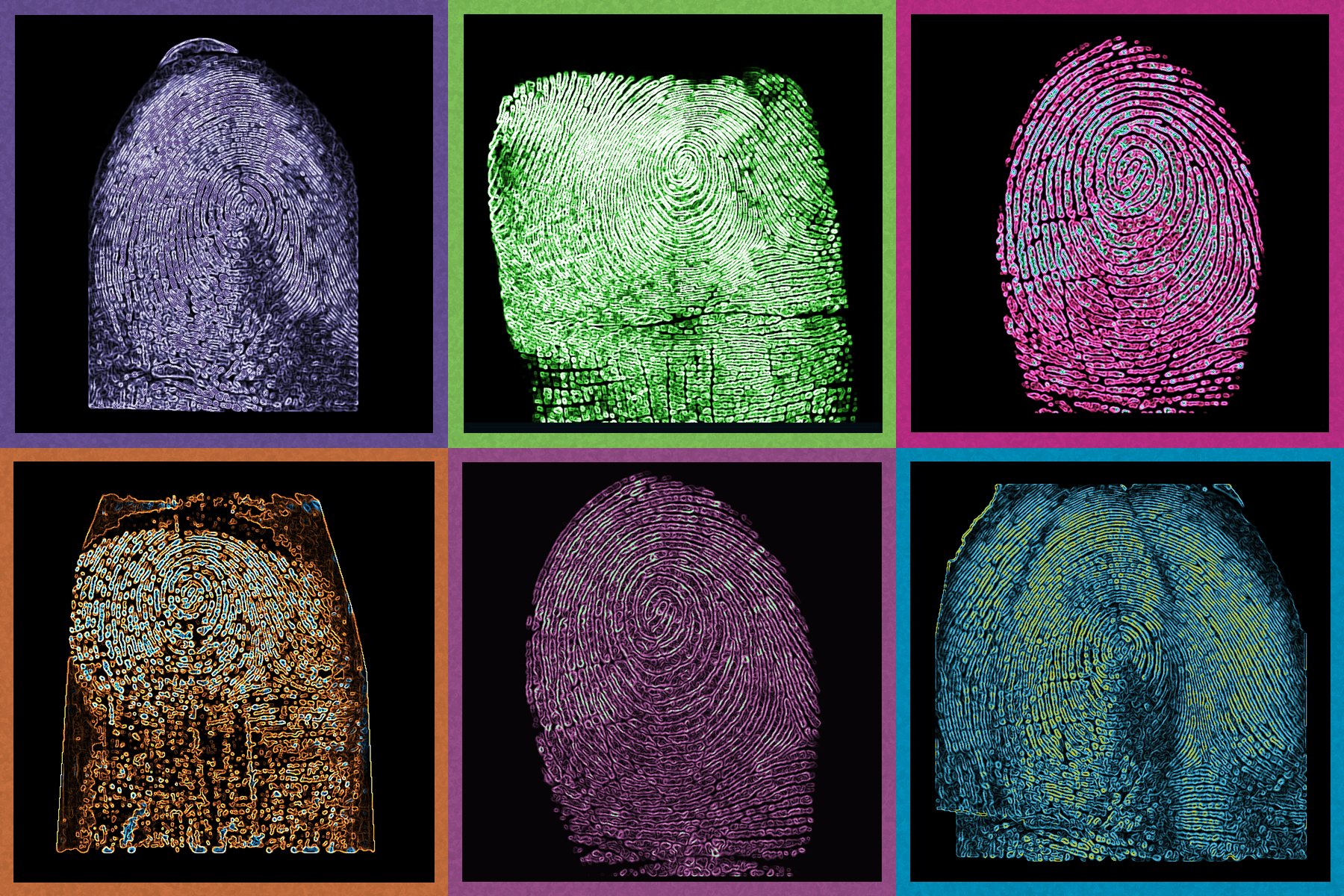 NIST Releases Data To Help Measure Accuracy Of Biometric Identification
