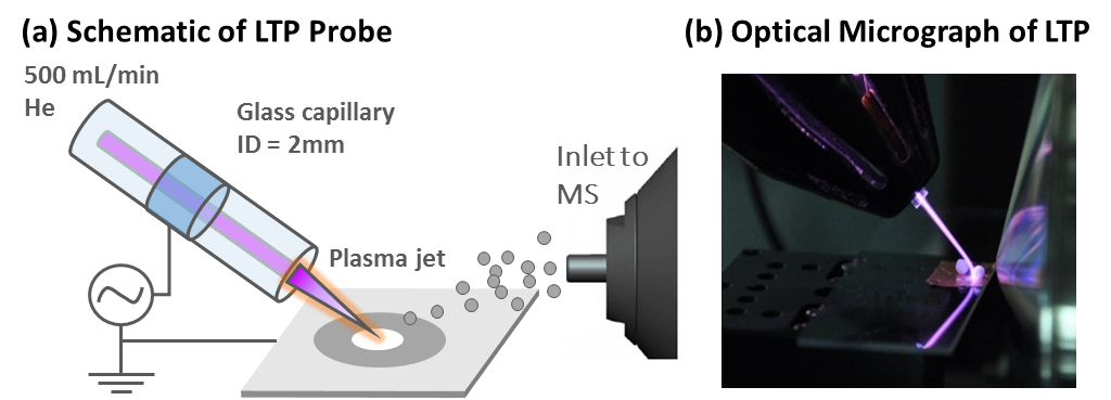 Schematic of the low temperature plasma probe Schematic of the low temperature plasma probe