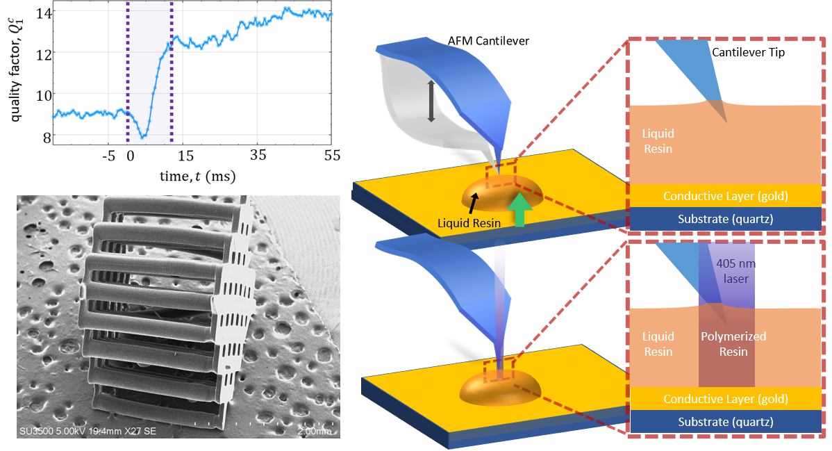 AFM as a Photorheological Sensor