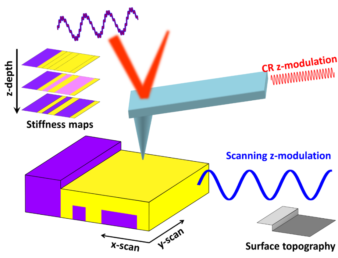 Schematic ICR-AFM on an elastically inhomogeneous material