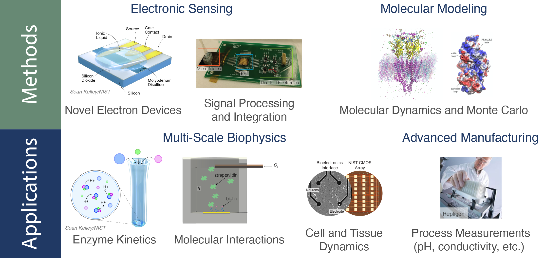 Electronic Biophysical Measurements | NIST