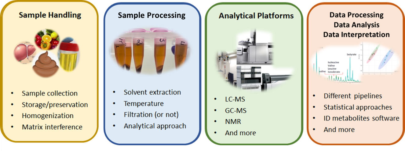 Steps considered in a metabolome analytical workflow