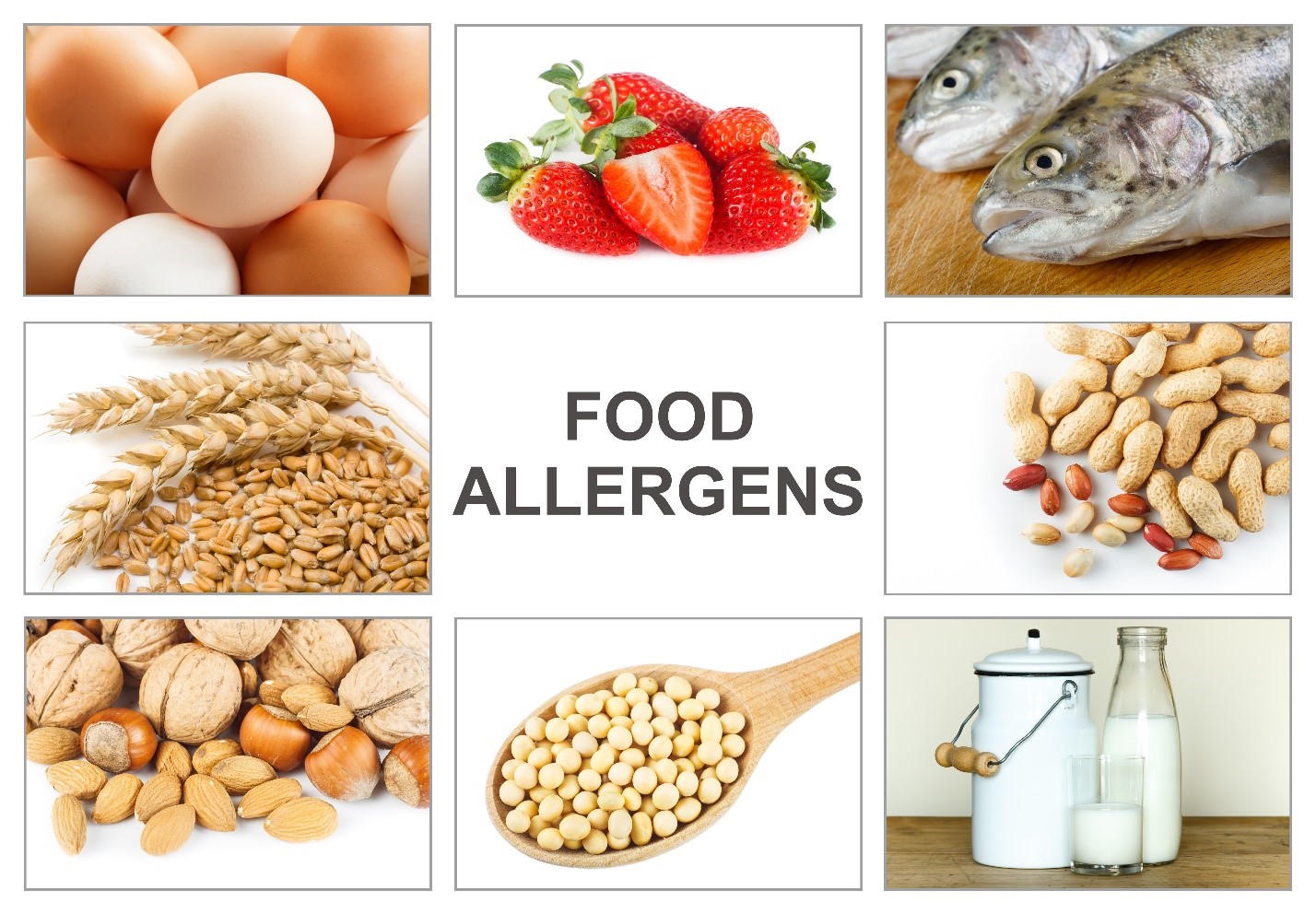 NIST Food Protein Allergen Program | NIST