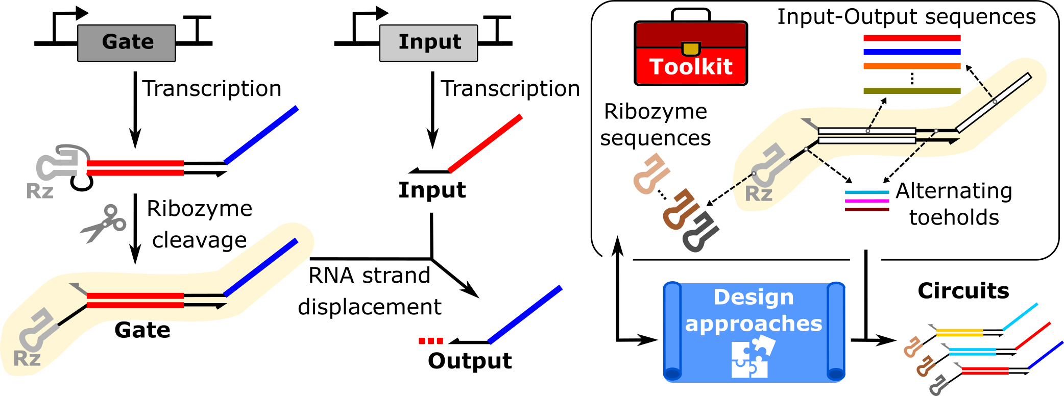 RNA computation and metrology for engineering biology | NIST