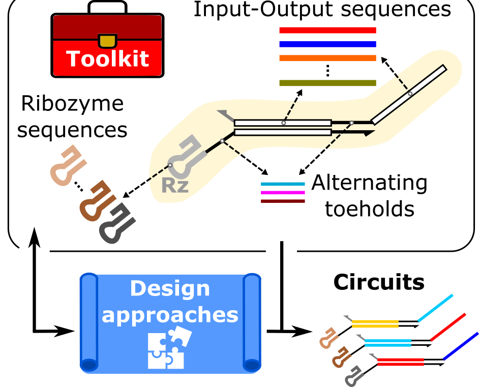 RNA Computation and Metrology for Engineering Biology | NIST