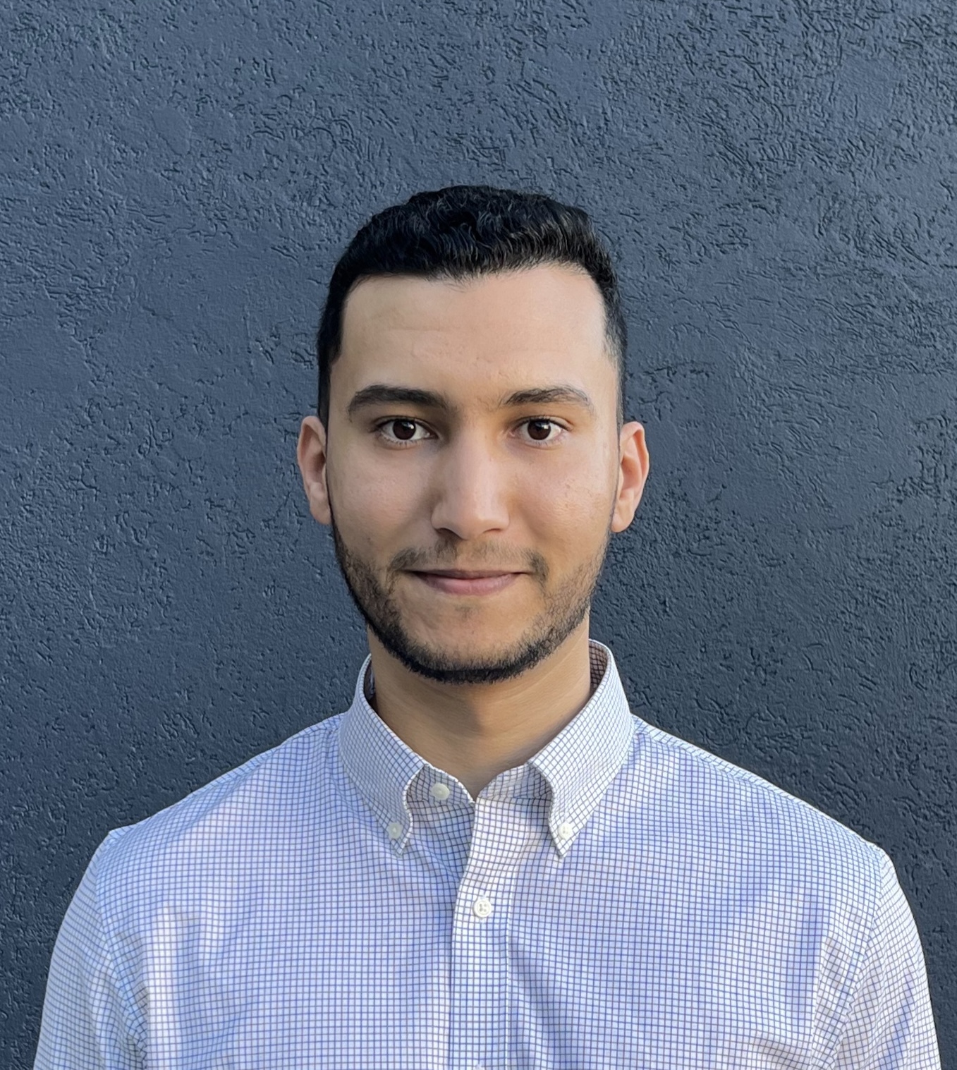 Hossam Tamri Portrait