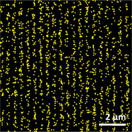 Single Molecule Fluorescence Measurements of Nanoscale Proton ...