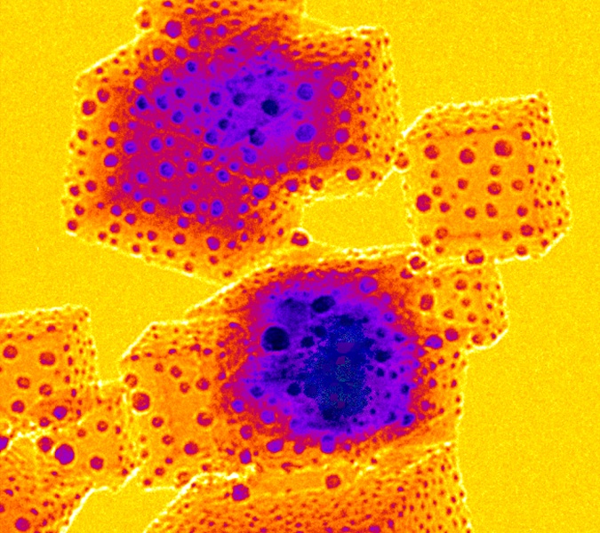 Microscopy Methods | NIST