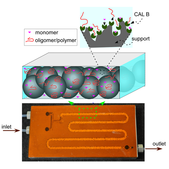 Renewable Polymers | NIST