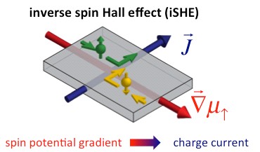 illustration-of-the-inverse-spin-hall-effect_1.jpg