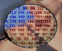 Digital Forensics | NIST