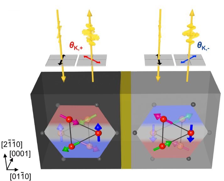 Antiferromagnet store
