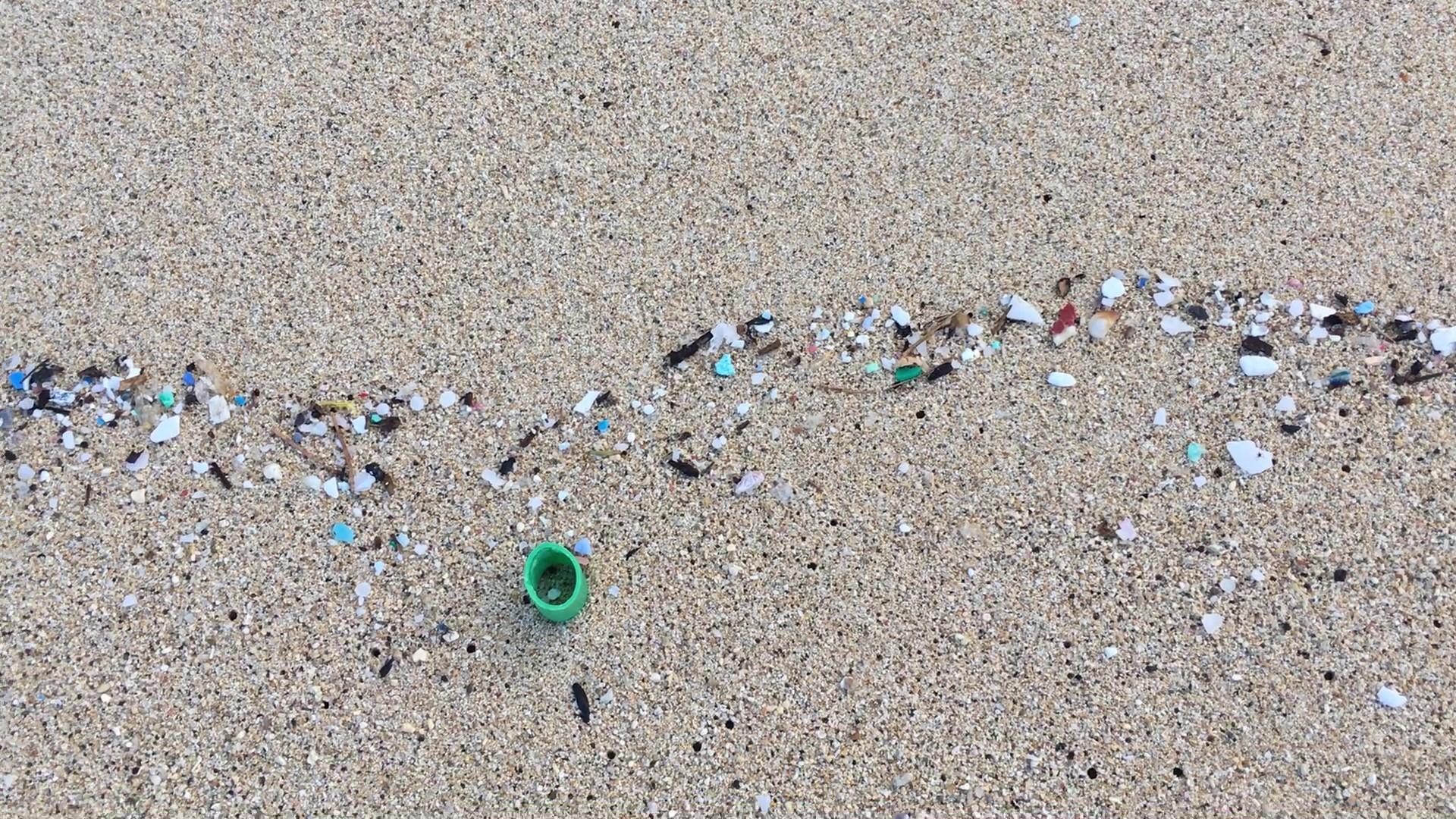 beach with plastic
