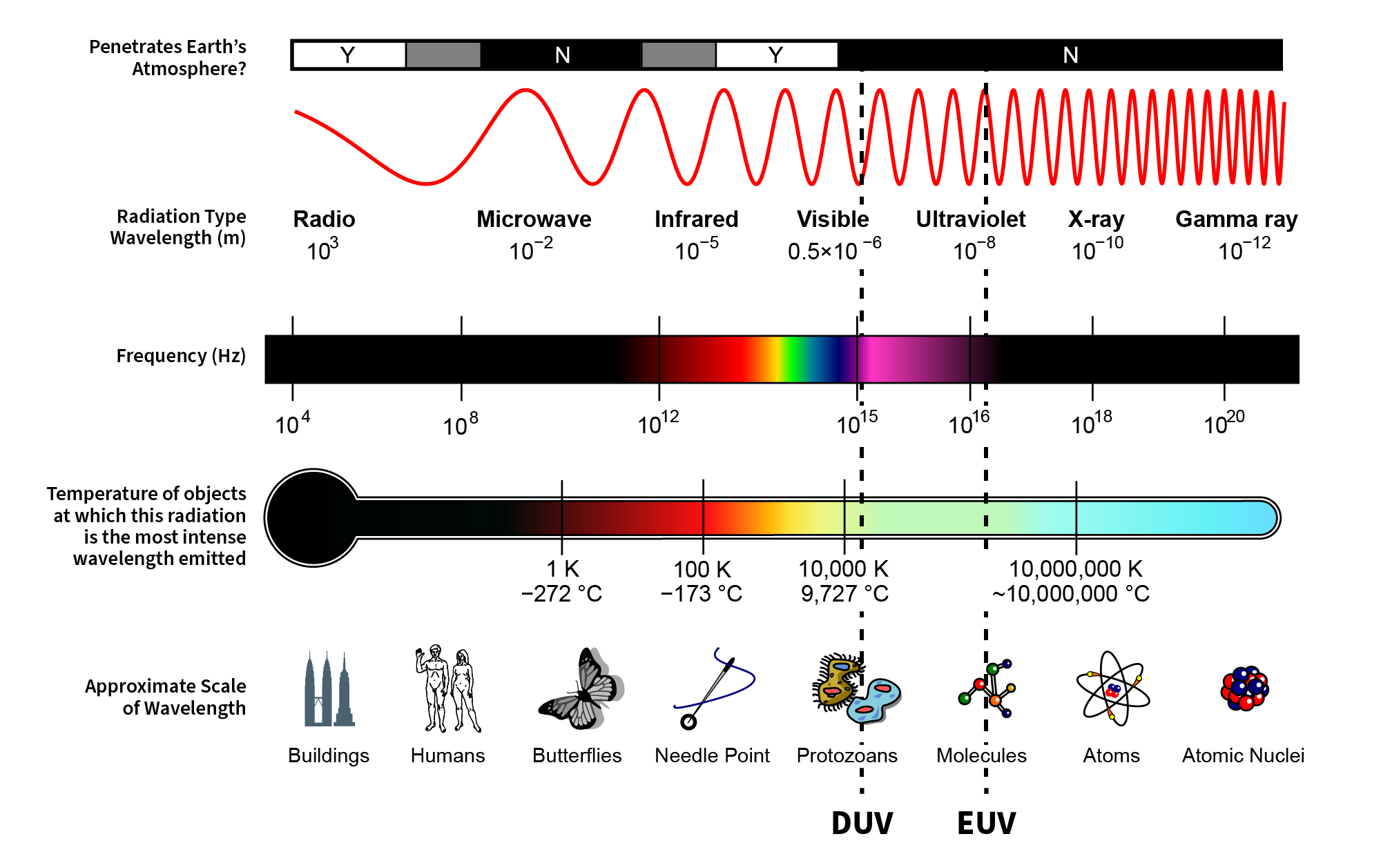 ultraviolet wavelength examples