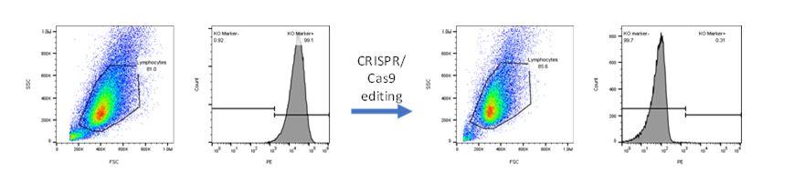 Flow Cytometry Histogram