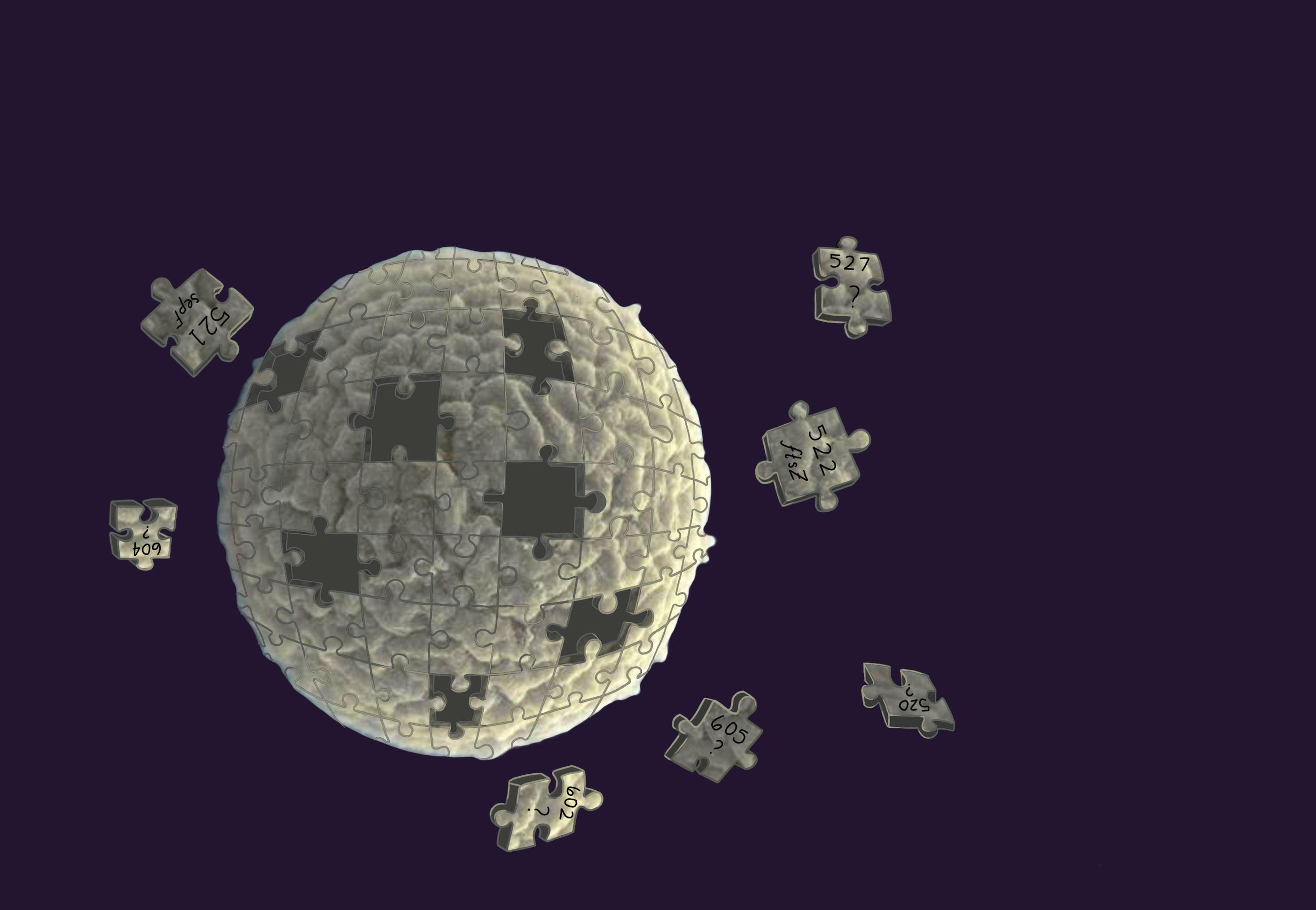 Cell