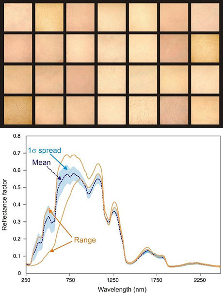 Human Skin Color Spectrum