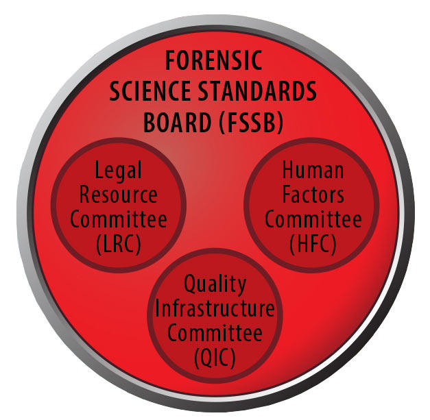 Forensic Science Standards Board Committees