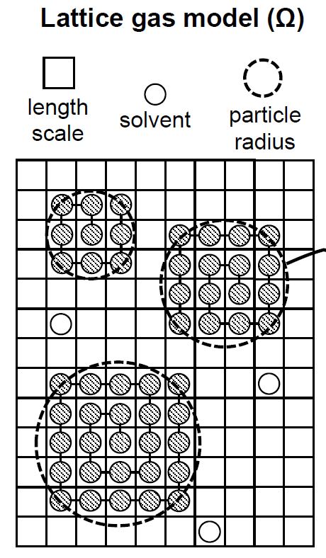 Lattice Gas Model