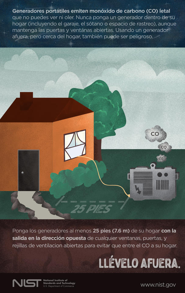 Generator graphic -- Spanish language version