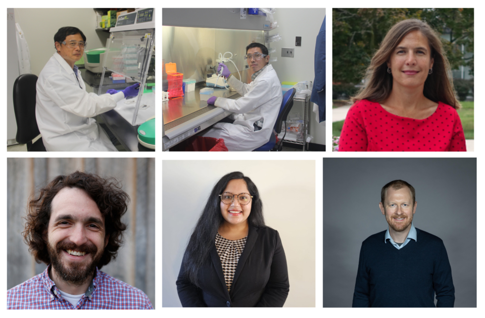 Cancer genome team for 2024 MML Accolade
