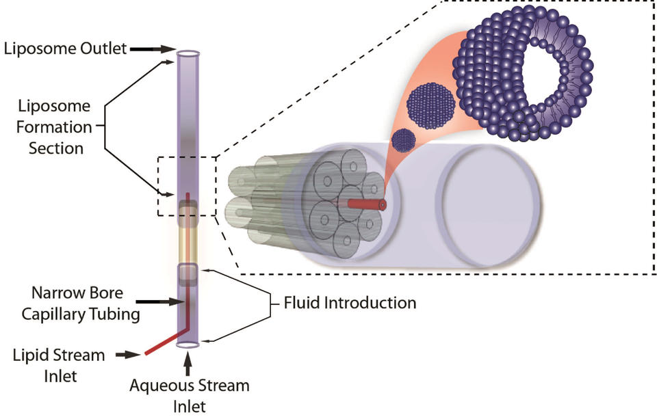 3D-microfluidic Hydrodynamic Focusing Device 3D-microfluidic Hydrodynamic Focusing Device