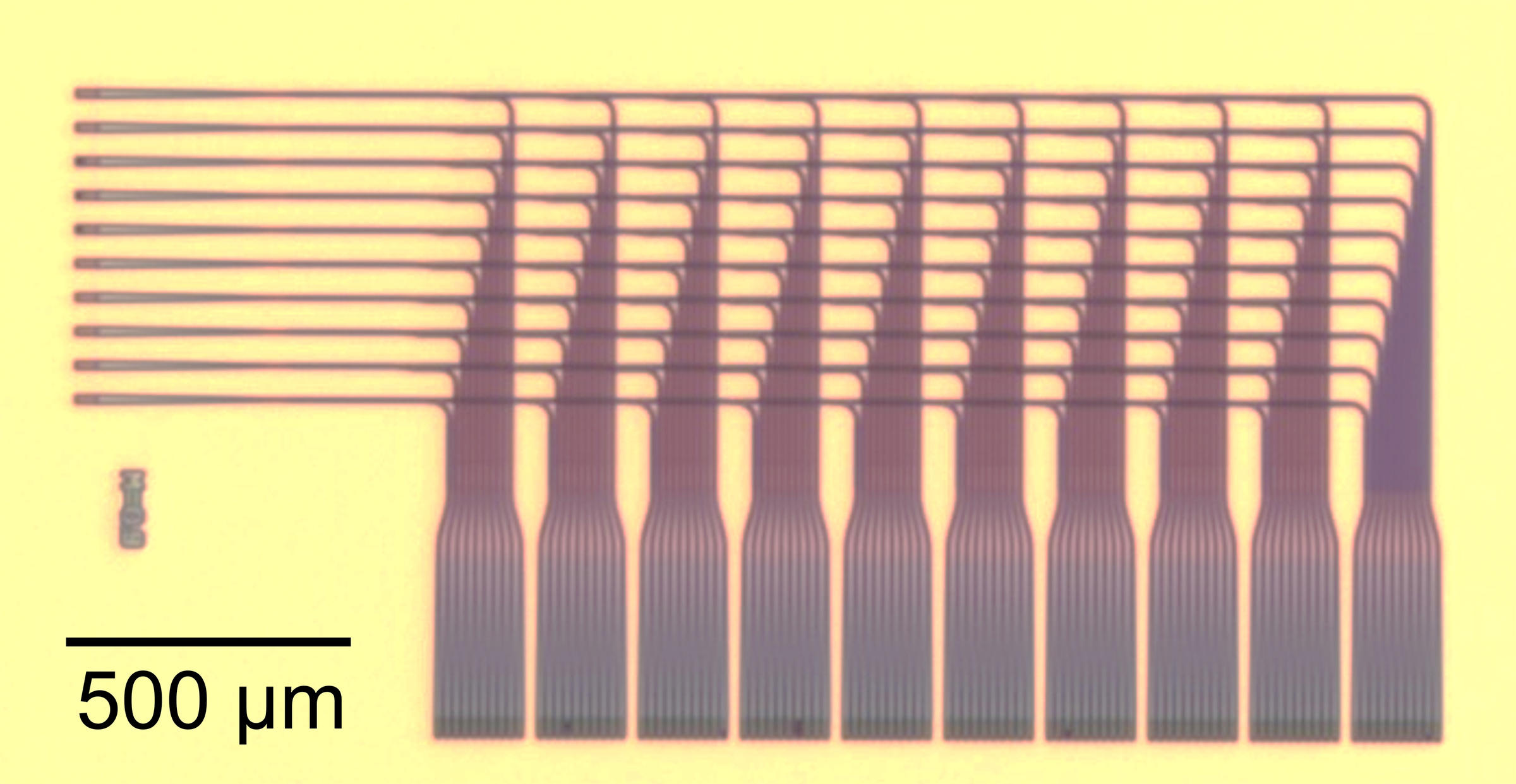 NIST Chip Lights Up Optical Neural Network Demo | NIST