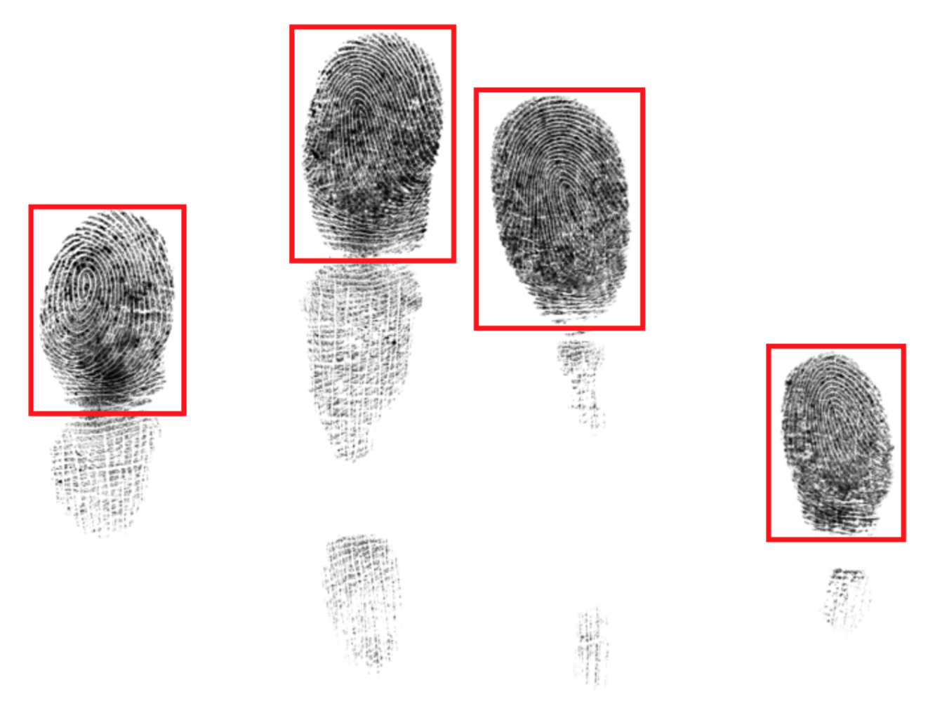 Slap Fingerprint Segmentation Evaluation III | NIST