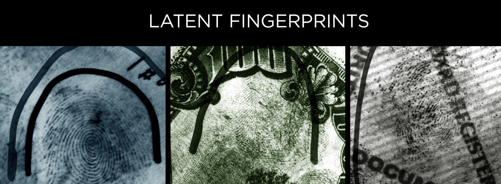 forensic fingerprinting