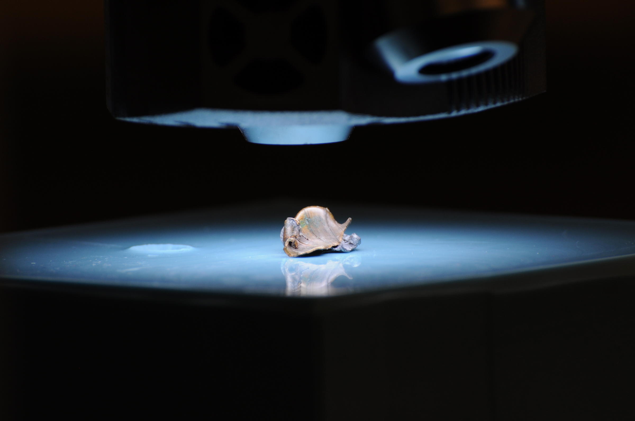 Kennedy Assassination Bullets Preserved in Digital Form | NIST