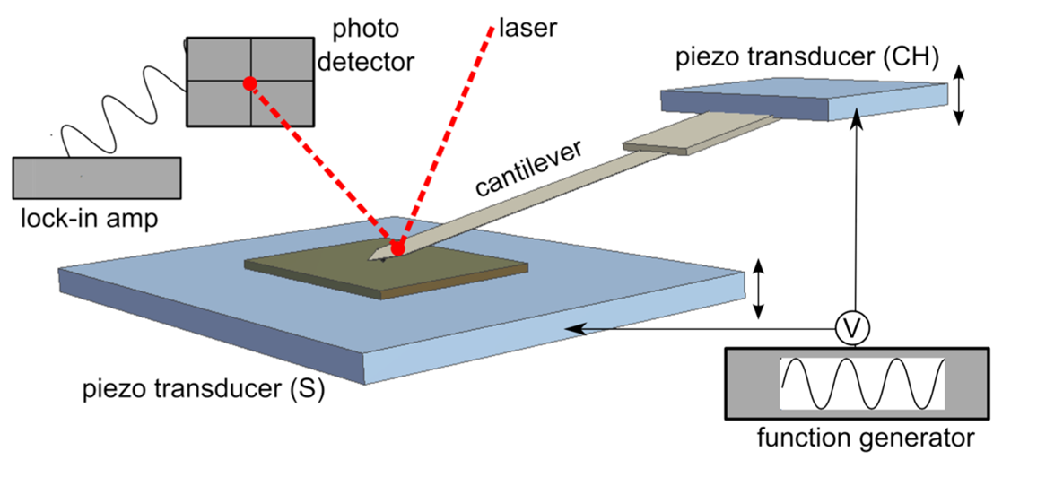 Schematic of an Atomic Force Microscope