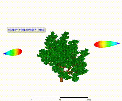Tree simulations