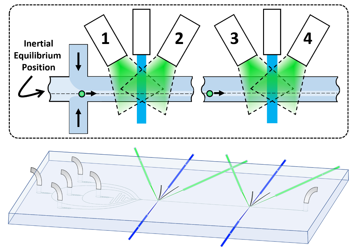 Schematic diagram of the fluid channel.