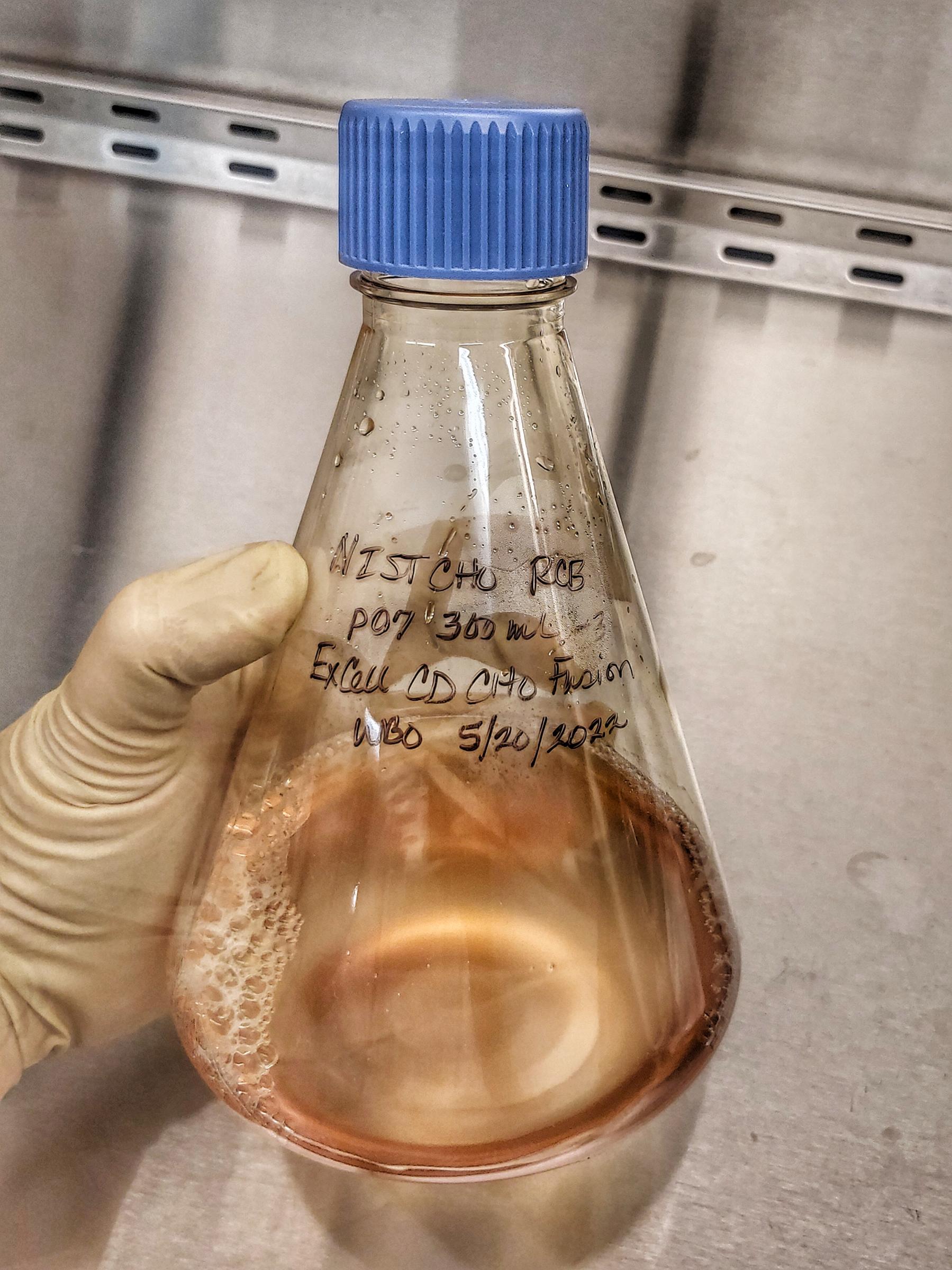 NIST, Partners Develop Living Reference Material for Producing ...