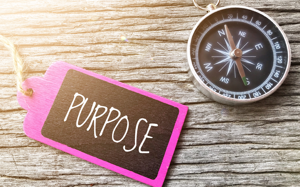 Do You Have an Organizational Purpose? Is It Mere Propaganda? | NIST