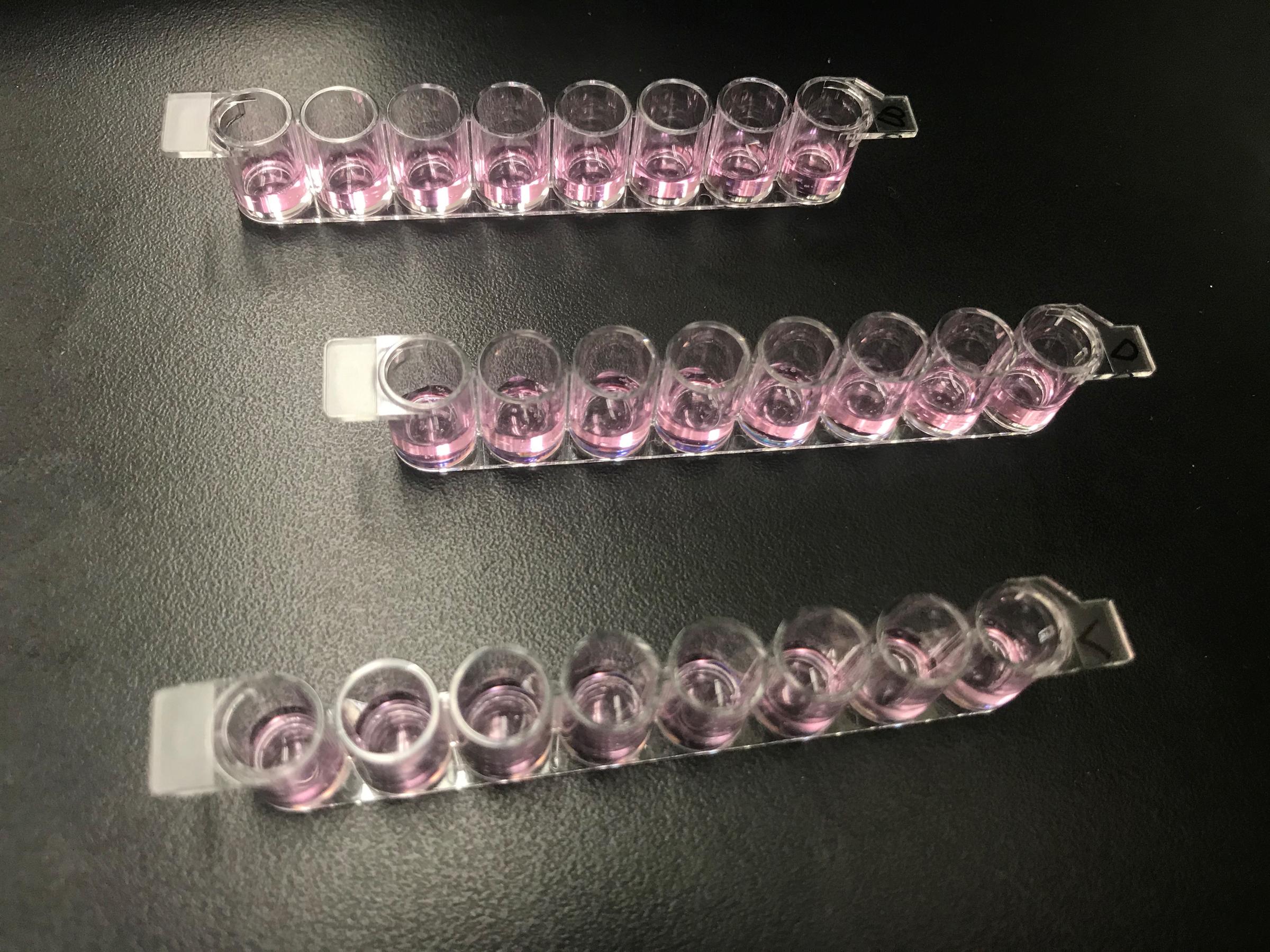 Polysaccharide-Based Hydrogels