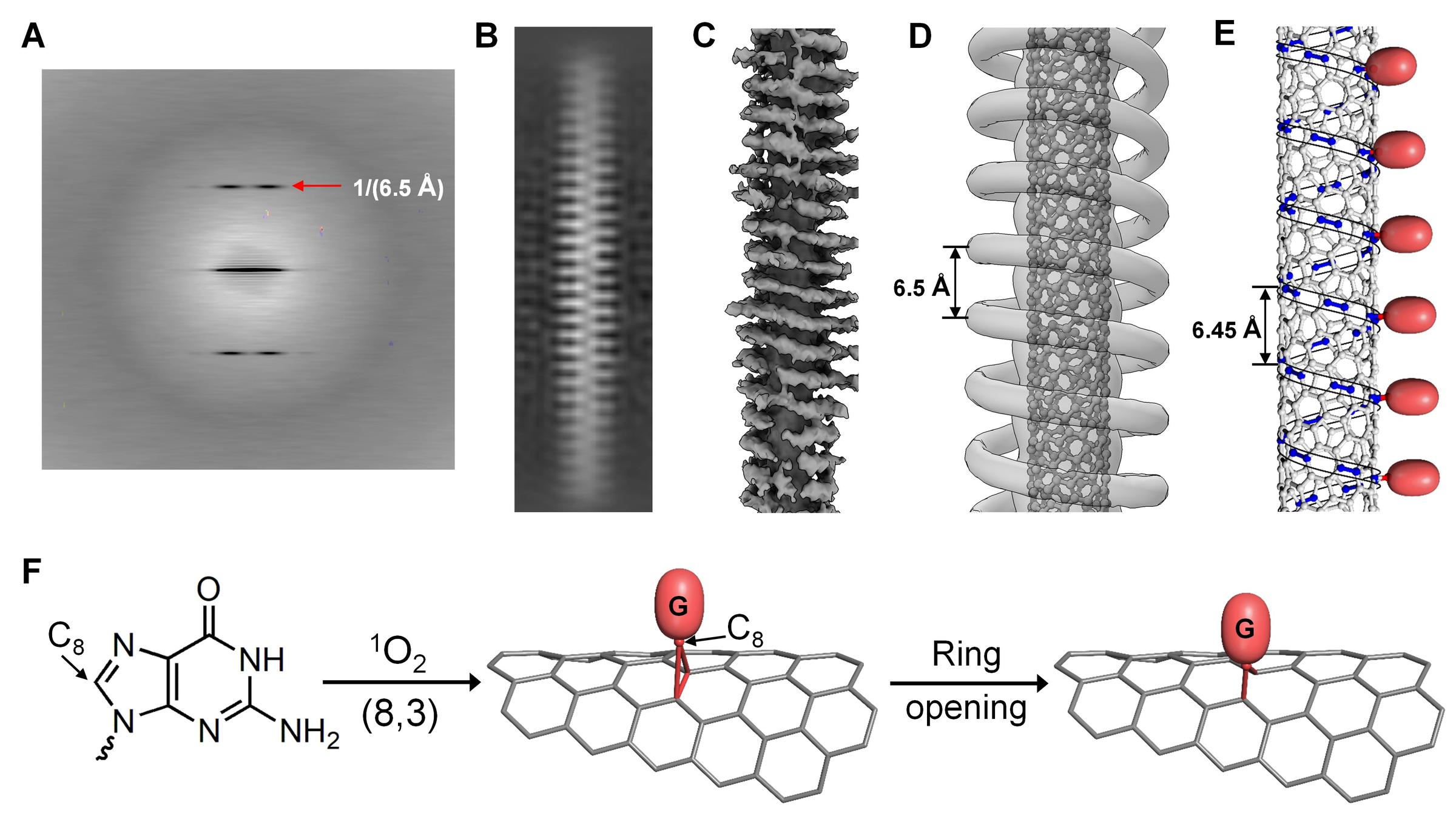DNA-directed lattice modification of SWCNTs