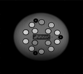 MRI phantom