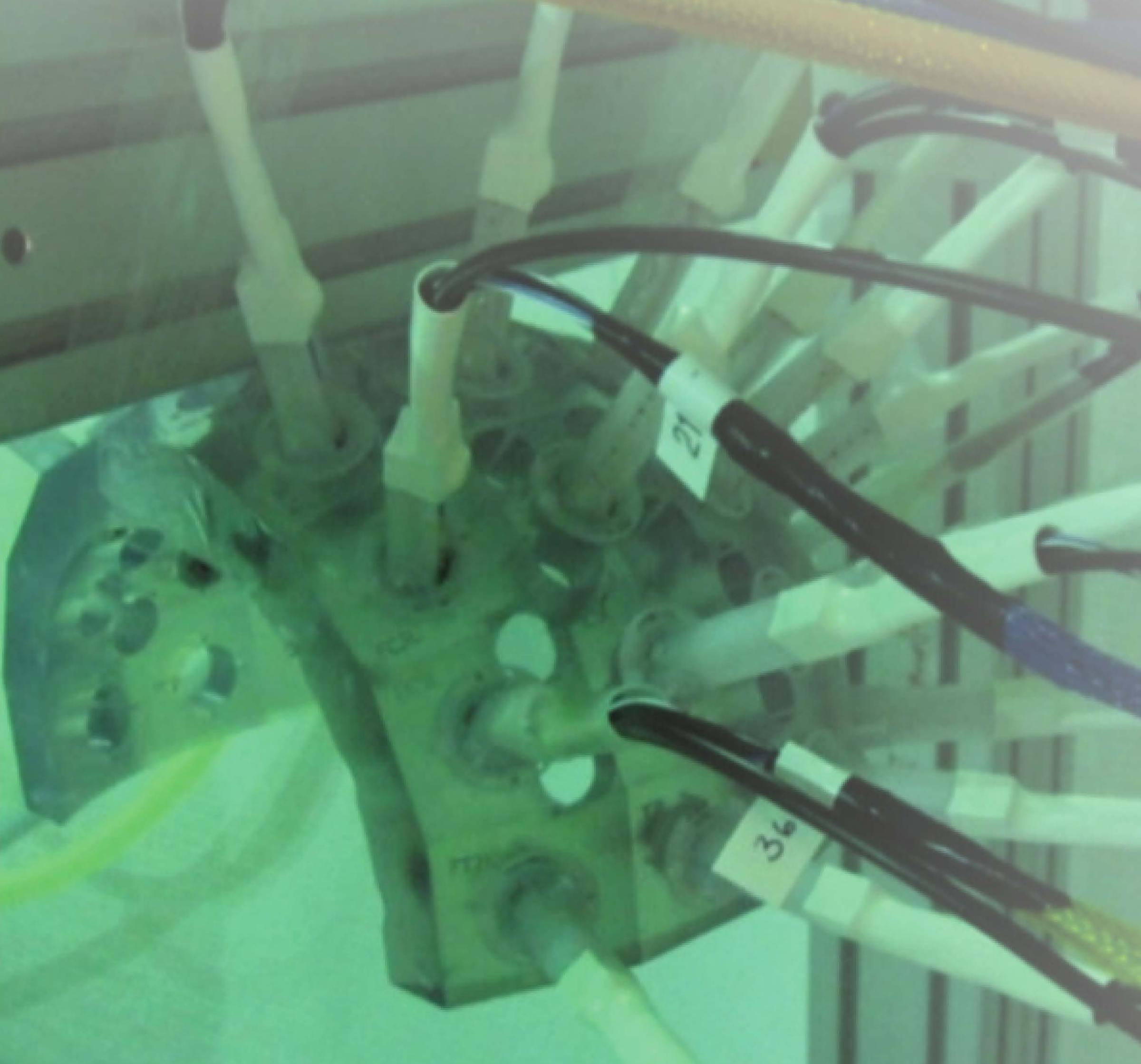 Atomic Magnetometer and Method of Sensing Magnetic Fields | NIST