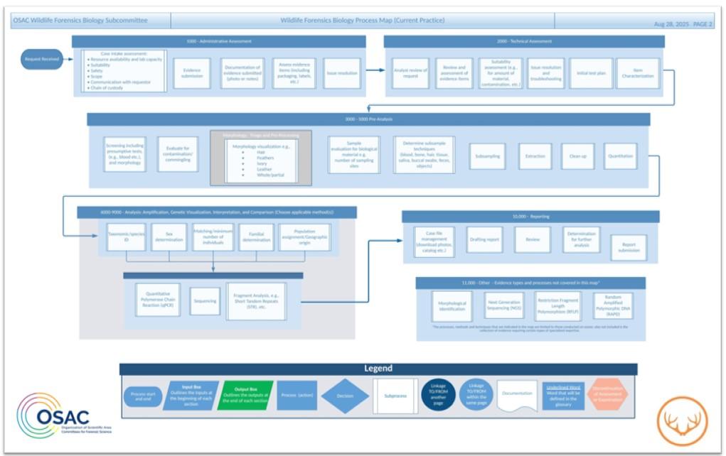OSAC's Wildlife Forensic Biology Subcommittee Develops Process Map | NIST