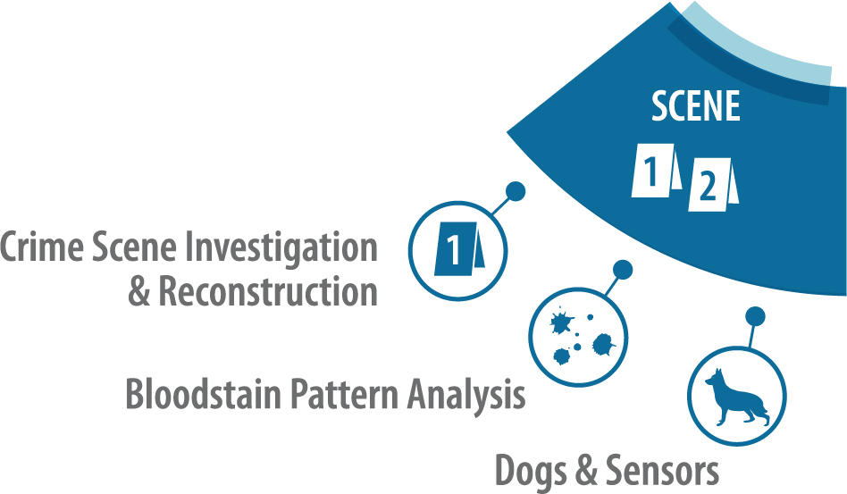 Scene Scientific Area Committee | NIST