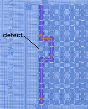 false color electron microscope